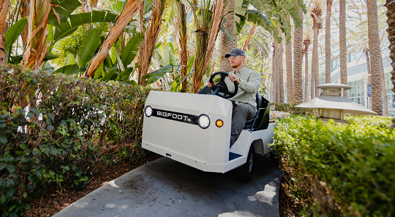 Waev Inc. Company History